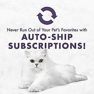 Purina Fancy Feast Grilled Wet Cat Food Beef Feast in Wet Cat Food Gravy - (Pack of 24) 3 oz. Cans