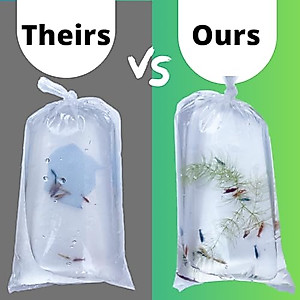 Swimming Creatures 10 Mixed Color Neocaridina Shrimp Skittles Live Freshwater Aquarium Shrimp. Live Arrival Guarantee.