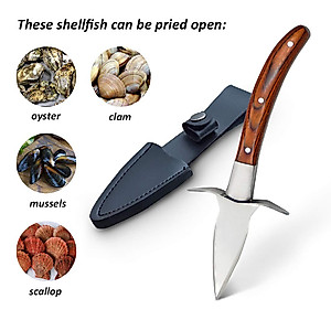 SPEENSUN Oyster Knife, Oyster Shucking Kit, Oyster Shucking Knife With Comfort Wood-handle, Sturdy And Sharpness Oyster Knives, Oyster Shucker With 5 leve Protection Cut-resistant Glove(M)
