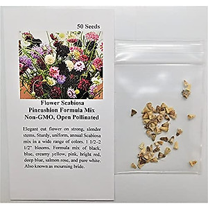 David's Garden Seeds Flower Scabiosa Pincushion Formula Mix 4222 (Multi) 50 Non-GMO, Heirloom Seeds