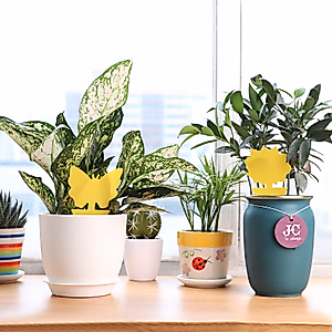 ALLRoad Fungus Gnat Sticky Traps for Plant 54 Pcs Fruit Fly Trap Yellow Sticky Gnat Killer for Indoor Outdoor Catch Bug, Whitefly, Mosquitos, Flying Insects