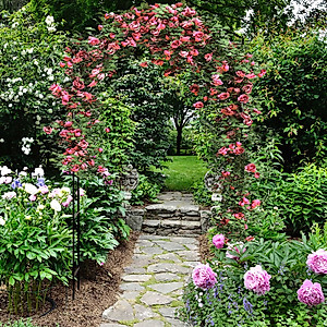 Giantex Garden Arch Trellis, 7.5FT High x 4.6FT Wide, Metal Garden Arbor Rose Arch for Climbing Plants, Wedding Archway with Stakes, Outdoor Trellises Pergola for Lawn Bridal Party Decoration