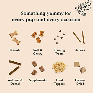 Bocce's Bakery Oven Baked Sunday Roast Treats for Dogs, Wheat-Free Everyday Dog Treats, Made with Real Ingredients, Baked in The USA, All-Natural Soft & Chewy Cookies, Chicken & Pumpkin Recipe, 6 oz