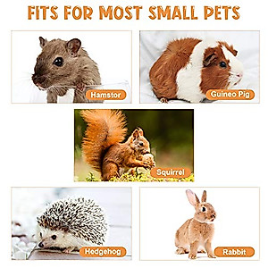 3 Pieces Small Pet Cage Hammock Set Include Double-Layer Sugar Glider Swinging Bed Hanging Rat House Cage and Hamster Warm Bed Mat for Rat Parrot Ferret Squirrel Hamster Rat Playing Sleeping (Brown)