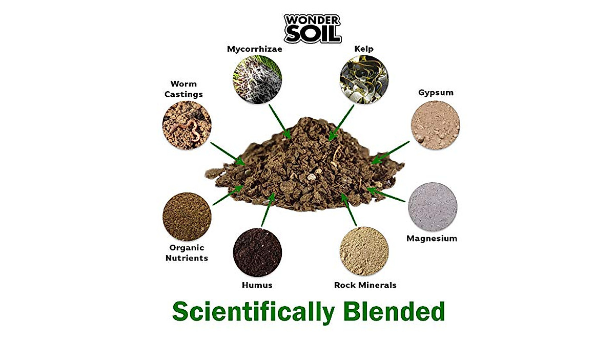 Grow Greener, Thicker Lawns with Premium Coir Top Dressing