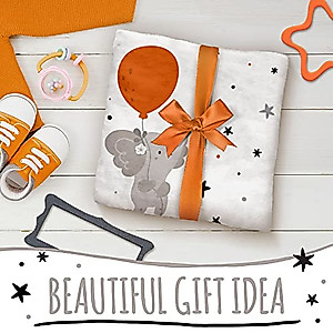 Milestone Blanket with Two Markers, Gender Neutral Baby Milestone, Baby Monthly Milestone, Baby Milestone Blanket, Baby Monthly Milestone Blanket, Baby Growth Chart Blanket (60"x40")