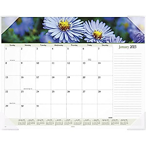 AT-A-GLANCE 2023 RY Floral Panoramic Monthly Desk Pad, Large, 21 3/4" x 17"