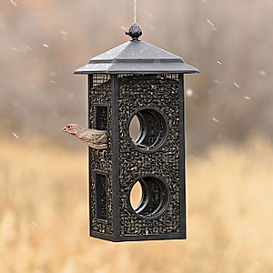 Perky-Pet B00303 Fly-Through Wild Bird Feeder