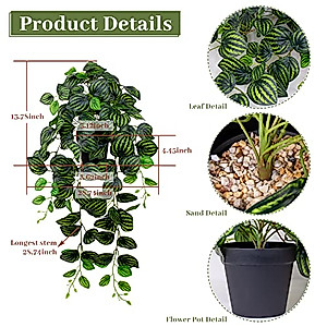 LOYWREE 28.7 Inch Faux Peperomia Watermelon Artificial Plants - Realistic Faux Plants in Pot for Indoor Outdoor Home Office Decor - Perfect Housewarming Gift