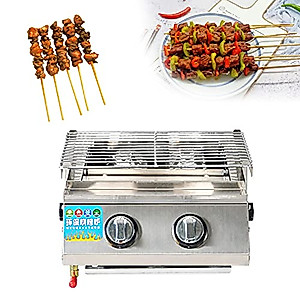 Stainless Steel Burner Gas BBQ for Outside Garden Grill BBQ with Fat Catcher, Tabletop Gas Grill Stainless Steel Two-Burner BBQ with Updated Knobs, Perfect for Camping, Picnics or Any Outdoor,Silver