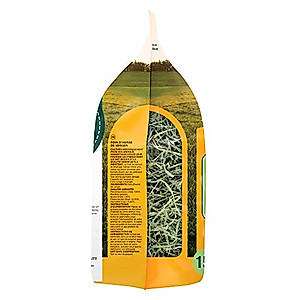 Oxbow Animal Health Orchard Grass Hay - All Natural Grass Hay for Chinchillas, Rabbits, Guinea Pigs, Hamsters & Gerbils - 15 oz.