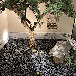 FANTIAN 2lbs Black Pebbles for Indoor Plants, Polished Black River Rocks for Potted Plants Vase Aquarium Landscaping and Outdoor Garden Decorative Black Stones
