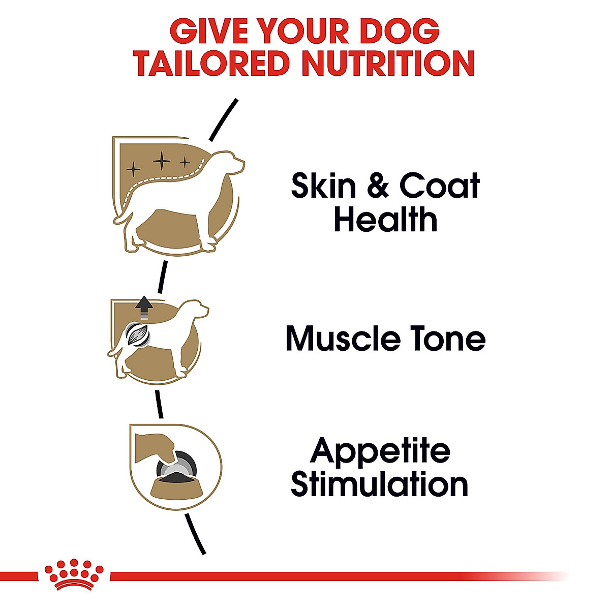 Royal Canin Poodle Adult Breed Specific Wet Dog Food, 3 oz can 4-pack