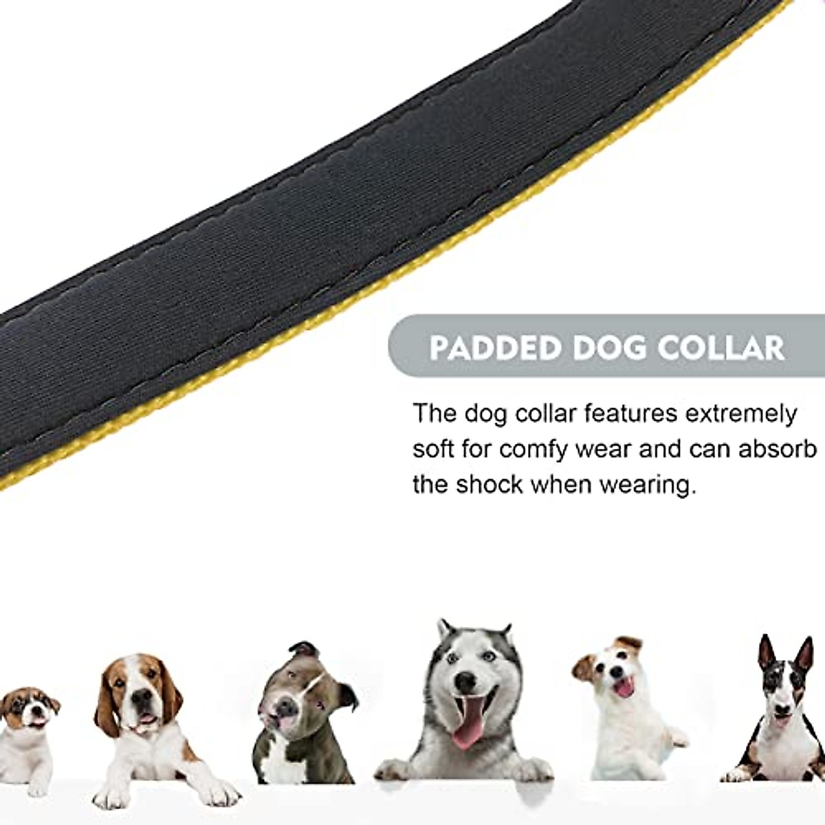 Brilliant Paw Reflective Dog Collar, Adjustable Nylon Collar, Strong Yet Comfortable, Safety Locking Buckle, Length Adjustable for Small Medium and Large Dog