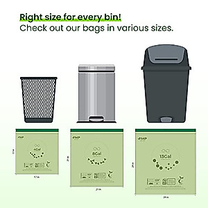 FMP Brands 100 Count 8 Gallon Compostable Drawstring Trash Bags, Extra Thick 1 Mil, Leak-Proof Kitchen Bag, 100% Compost Garbage Bag for Home Office Bathroom, BPI, ASTM D6400, OK Compost Certified