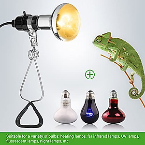 Simple Deluxe HIWKLTCLAMPSOCKETX2 2-Pack 18/2-Gauge Brooder and Heat Clamp Lamp with Bakelite Socket 150 Watt 6 Feet Cord, Black, 2 Count