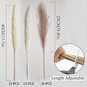 EVOLUX Pampas Grass Decor,60 Pcs Natural Dried Pampas Grass|15 Pcs White & 15 Pcs Beige & 30 Pcs Reed Grass,17" Pompas Grass for Flowers Arrangement Home Garden Wedding Decor