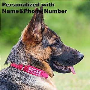 Personalized Dog Collars Custom with Pet Name and Phone Number, Soft Neoprene Padded Reflective Nylon Collar, 4 Adjustable Sizes - for Boy, Girl Dogs