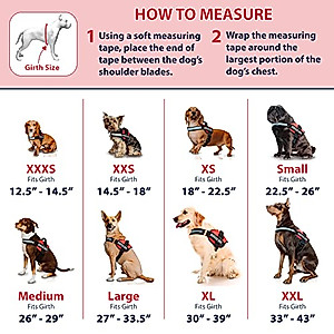 Service Dog Vest with Hook and Loop Straps and Handle - Harness is Available in 8 Sizes from XXXS to XXL - Service Dog Harness Features Reflective Patch and Comfortable Mesh Design Bright Red