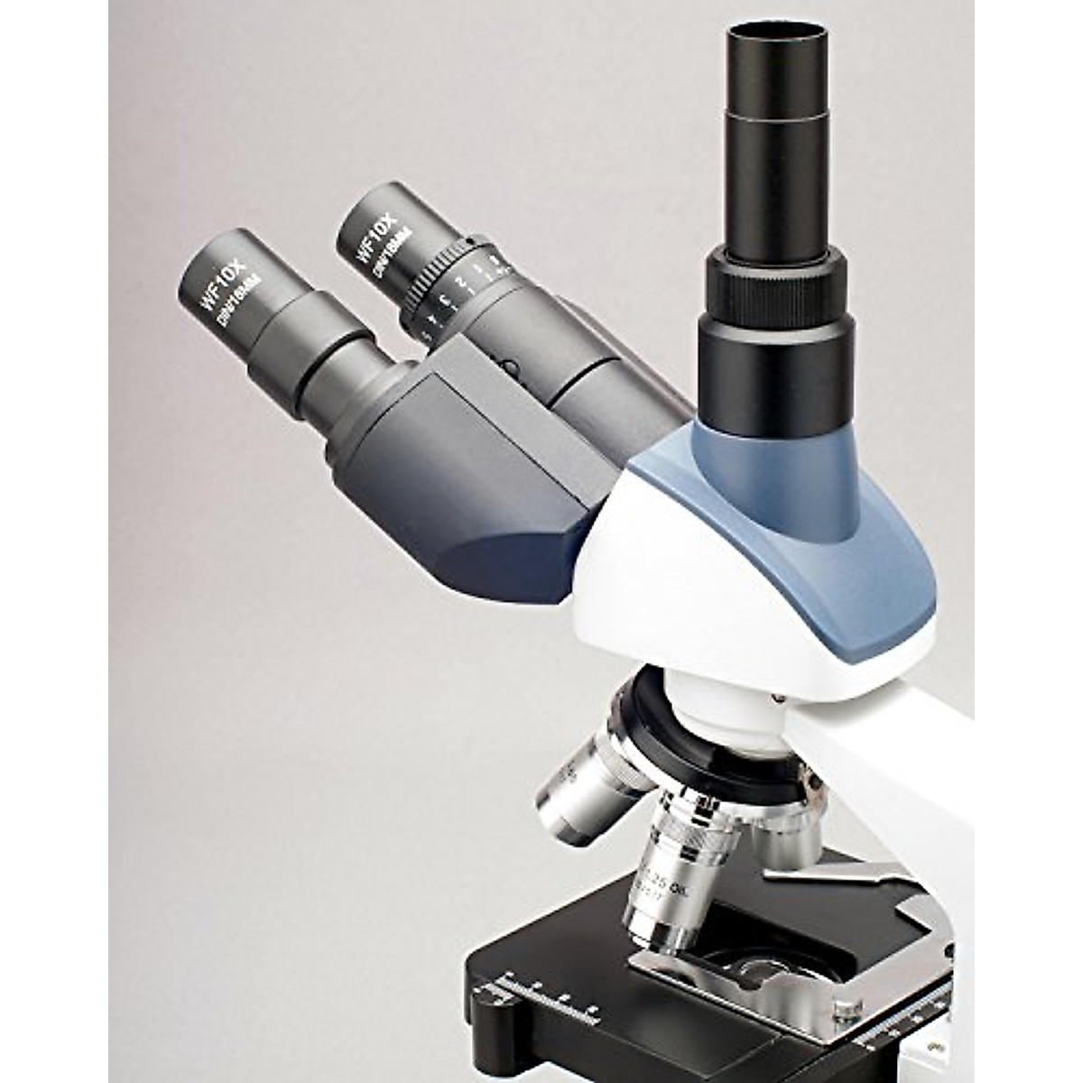 AmScope T120C Professional Siedentopf Trinocular Compound Microscope, 40X-2500X Magnification, WF10x and WF25x Eyepieces, Brightfield, LED Illumination, Abbe Condenser with Iris Diaphragm, Double-Layer Mechanical Stage, 100-240VAC