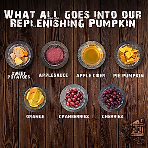 Sams Yams Sweet Potato Dog Treats, Healthy Dog Treats for Large, Medium or Small Breed Dogs, Vegan Sweet Potato Dog Chews Made in USA - Sam's Yams DAILY's Replenishing Pumpkin Recipe Dog Snacks, 7oz