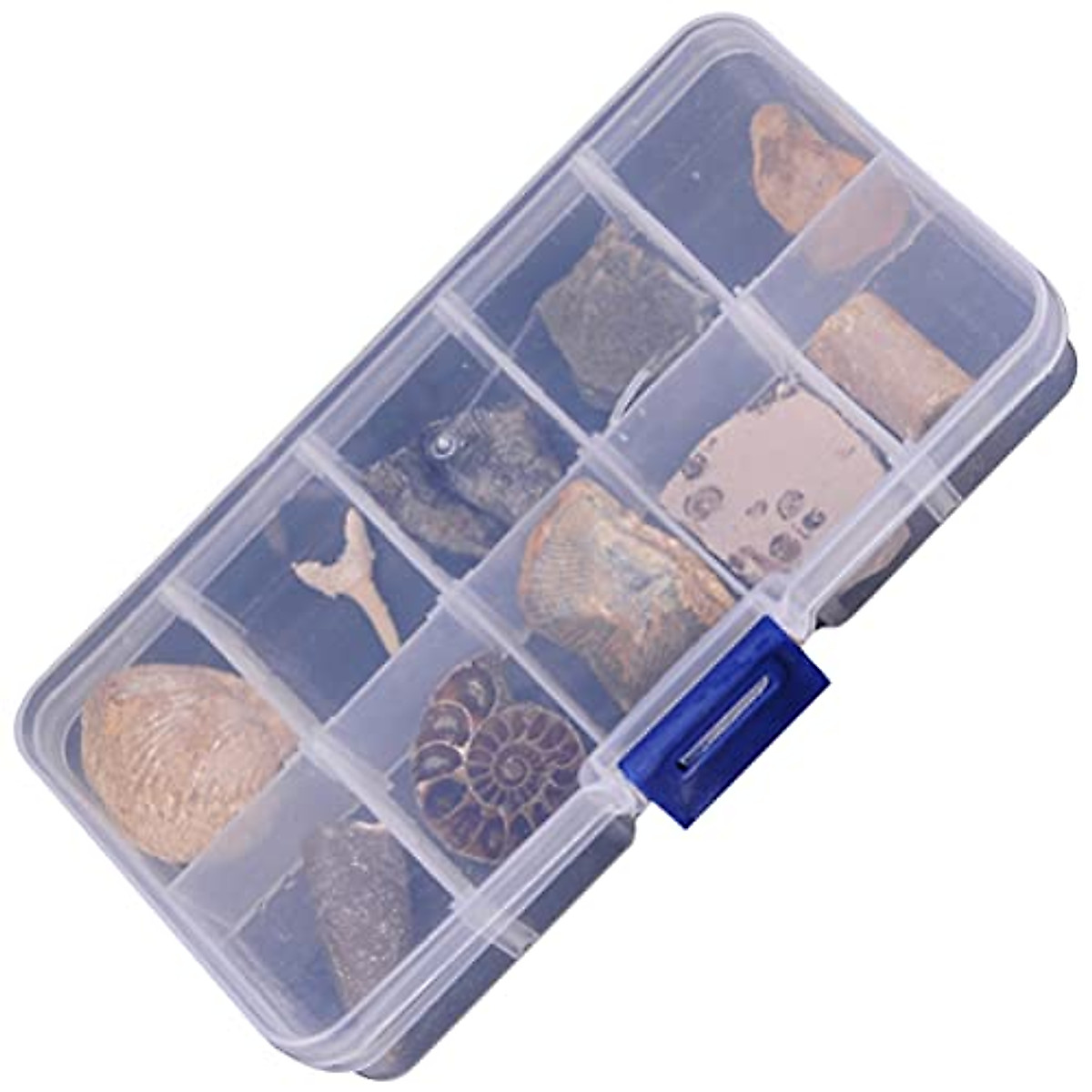 Hemobllo Fossil Specimens Collection Set, 10PCS Paleontology Fossil Specimens, Trilobite Amber Fossil Educational Science Kits, Creative Science Decoration Stone