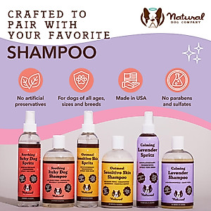 Natural Dog Company Calming Lavender Shampoo for Dogs - Hypoallergenic, Deodorizing Dog Shampoo for Sensitive Skin, All Natural, Organic Pet Shampoo, Soothes with Chamomile and Lavender, 12 oz