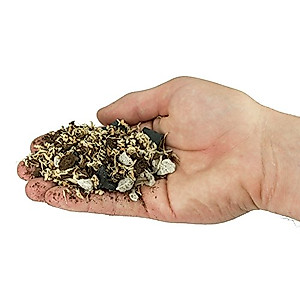 Josh's Frogs ABG Mix Tropical Plant Soil & Terrarium Vivarium Substrate (4 Quart/1 Gallon)