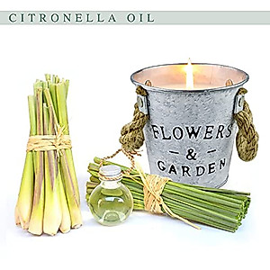 Citronella Candles Outdoor, 13.5 Oz 50 Hours Long Lasting Natural Scented Soy Candle with Fresh Citronella Oil, 2 Pack Candle Set for Garden, Backyard, Patio, Yard, Balcony, Camping, Indoor Outdoor