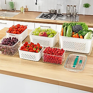 DOPHCOZFFY Airtight Fruit Storage Containers for Fridge with Removable Colander, Dishwasher Safe Produce Saver Container for Refrigerator (3 PCS fruit storage containers)