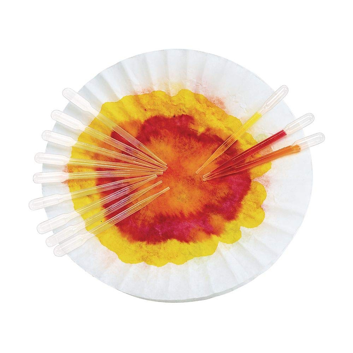 Colorations Super Safe 1-Piece Transparent Plastic Paint Dropper Pipettes For Kids - Set of 12