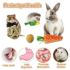 PD Bunny Chew Toys for Teeth, Natural Timothy Grass Small Animal Chew Toys, Mixed Grass and Molar Grass Cake and 2 Balls for Rabbits Chinchilla Hamsters Guinea Pigs Gerbils Groundhog Squirrels（14 pcs）
