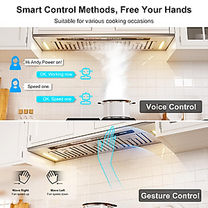 BRANO Range Hood Insert 36 Inch, 900 CFM Smart Voice/Gesture/Touch Control, 4 Speed Exhaust Fan, Stainless Steel Kitchen Hood with Charcoal Filter, Ducted/Ductless Convertible