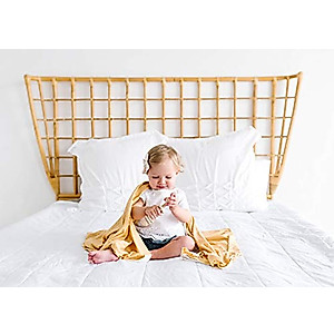 Copper Pearl Baby Swaddle Blanket - Premium Knit Baby Blanket, Large Soft Stretchy Receiving Blankets for Baby Boy and Girl, Swaddles for Newborn, Infant, and Toddler (Marigold)