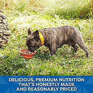 Nature's Recipe Wet Dog Food, Variety Pack, 2.75 Ounce Cup (Pack of 24)