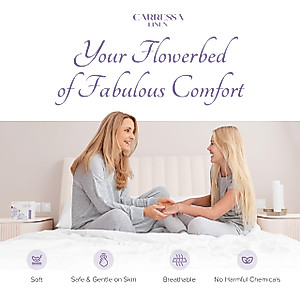 Carressa Linen 100% Egyptian Cotton Duvet Cover Queen Size - 600 Thread Count 3 PC Duvet Cover Set, Extra Long Staple Egyptian Cotton Quilt Cover, Soft, Breathable with Hidden Zipper Closure - White