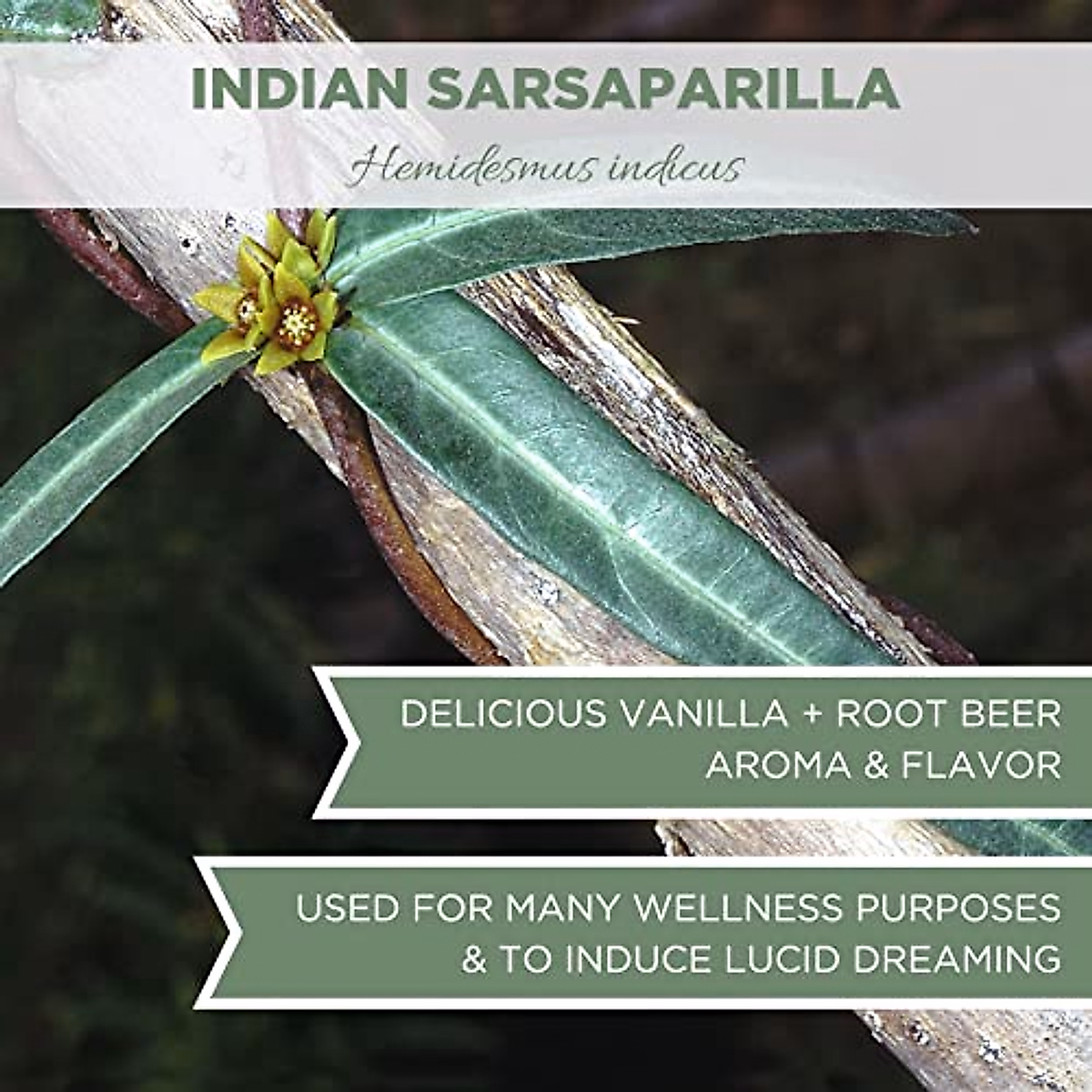 Organic Sarsaparilla Root 4 oz. (113g), USDA Certified Organic Indian Sarsaparilla Root Tea, Hemidesmus Indicus Sasparilla, Sarsparilla Root Organic, Zarzaparrilla, Cut & Sifted