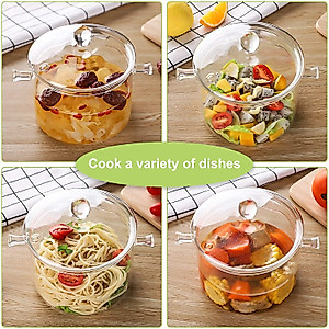 BUTIGE Glass Saucepan with Cover - 50oz Heat-Resistant Borosilicate Glass Handmade Cookware Set stovetop Pot - Safe for Pasta Noodle, Soup, Milk, Tea (1.5L)