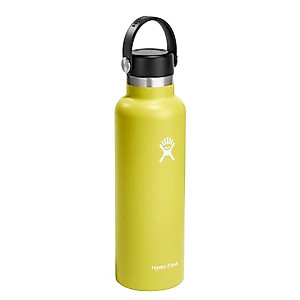 Hydro Flask 21 oz Standard Mouth with Flex Cap Stainless Steel Reusable Water Bottle Cactus - Vacuum Insulated, Dishwasher Safe, BPA-Free, Non-Toxic