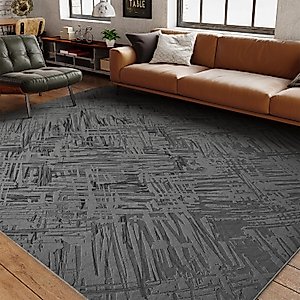 AMOAMI 3D Modern 5x7 Area Rugs Machine Washable Area Rug Non Slip Dark Grey Rugs for Living Room Super Soft Living Room Rug Room Decor Aesthetic Rugs for Bedroom,Office,Dining Room, Kids Playroom