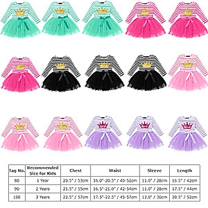 Baby Girls Shinny Striped 1st/2nd/3rd Birthday Long Sleeve Printed Princess Cake Smash Tutu Tulle Dress Toddler Kids Outfit Pink Crown (Two Year) One Size