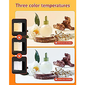 STN Photo Light Box 16"x16" 160LEDs Folding Light Box Photography CRI ≥97 Photo Studio Light Box with 6 Kinds Double- Sided Color Backgrounds and Diffuser for Jewelry and Small Products