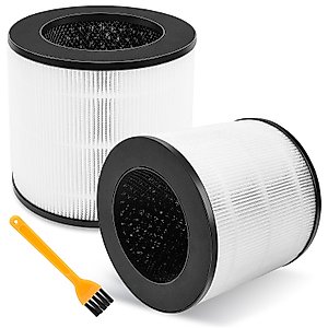 Keetidy C535 115115 Replacement Filter A Compatible with Winix 5500-2 Air Purifier, 5300-2 Air Purifier, WAC5300, WAC5500, WAC6300, 5000, 5000b, 5300, P300 (2 HEPA Filter + 8 Carbon Filters)