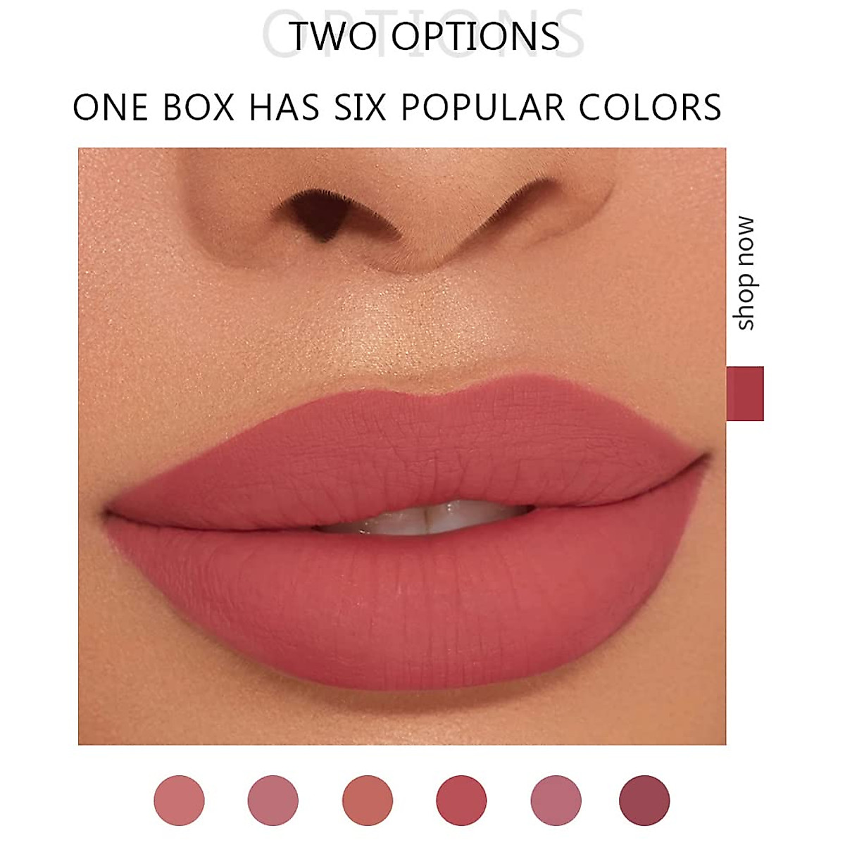 Lipstick Matte Lipstick Liquid Makeup Set, 6Pcs Long-Lasting Wear Non-Stick Cup Not Fade Waterproof Velvet Lip Gloss Kit, Lip Makeup Gift Sets for Girls and Women Nude Colors