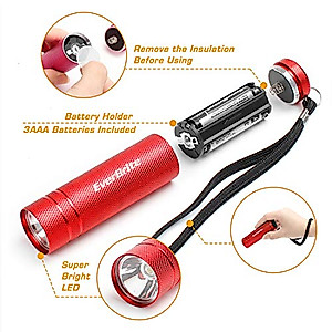 EverBrite 30-Pack Mini Flashlight Set, Aluminum LED Handheld Torches with Lanyard, Assorted Colors, 90 Batteries Included for EDC, Party Favors, Night Reading, Camping, Power Outage, Emergency