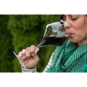 Luigi Bormioli Supermo 22 oz Burgundy Red Wine Glasses, 2 Count (Pack of 1), Clear