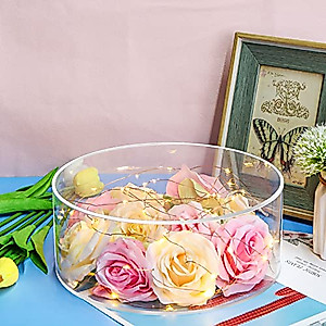 MOJIEZUO Clear Acrylic Cake Stand,Fillable Cake Riser Cake Tier,Round Cake Display Riser,Decorative Display Box with Lid for Wedding Birthday Party