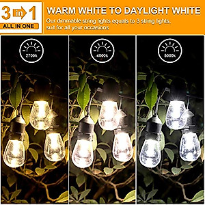 Mlambert 3 Color Outdoor LED Dimmable String Lights for Patio with Remote, Plug in 48FT Waterproof Edison Bulb, Warm White Daylight White Shatterproof Light for Cafe Bistro Pergola