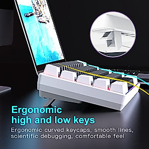 RAZEAK Portable 60 Percent Keyboard, Compact 61 Keys Mini Mechanical Keyboard for PC/Mac Gamer Switchable Colorful Backlit - Blue Switch - White+Black