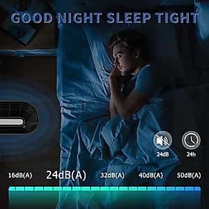 HPA200 Replacement Filters for Honeywell HPA200 HRF-ARVP200 Series Air Purifiers HPA200, HPA201, HA202, HPA204, HPA250, 2 HEPA R Replacement Filters and 4 A Carbon Pre-Cut Pre-Filters